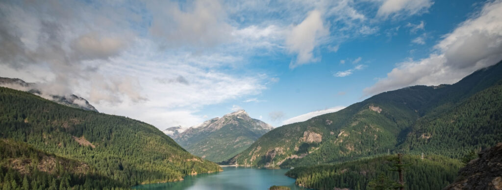 Maximizing Your 401(k): Advanced Strategies Beyond the Basics - Fortis ...